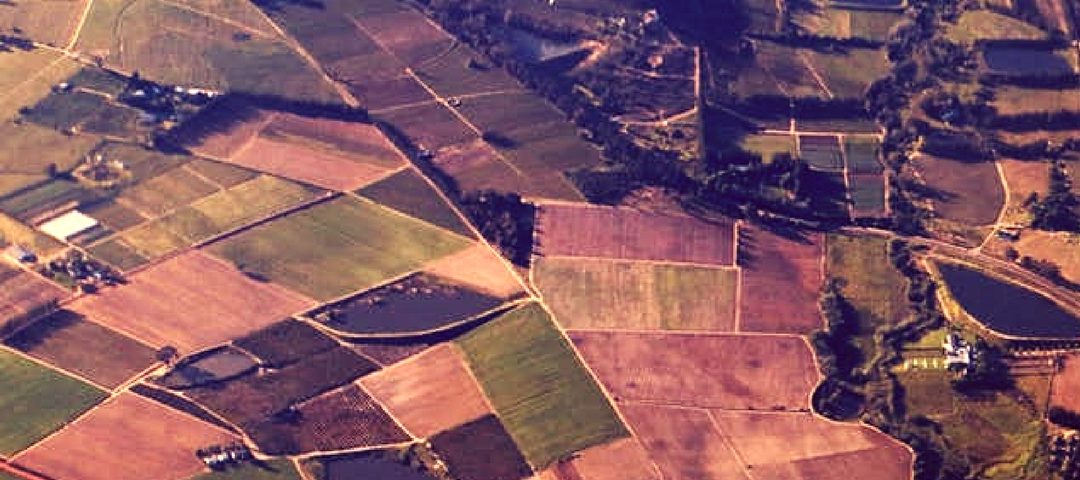 Why Aerobotics is One of SA's Most Exciting Startups | SME South Africa