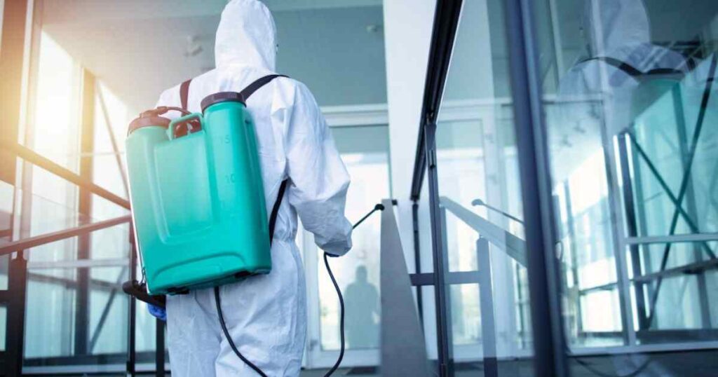How to Start a Fumigation Services Business | SME South Africa