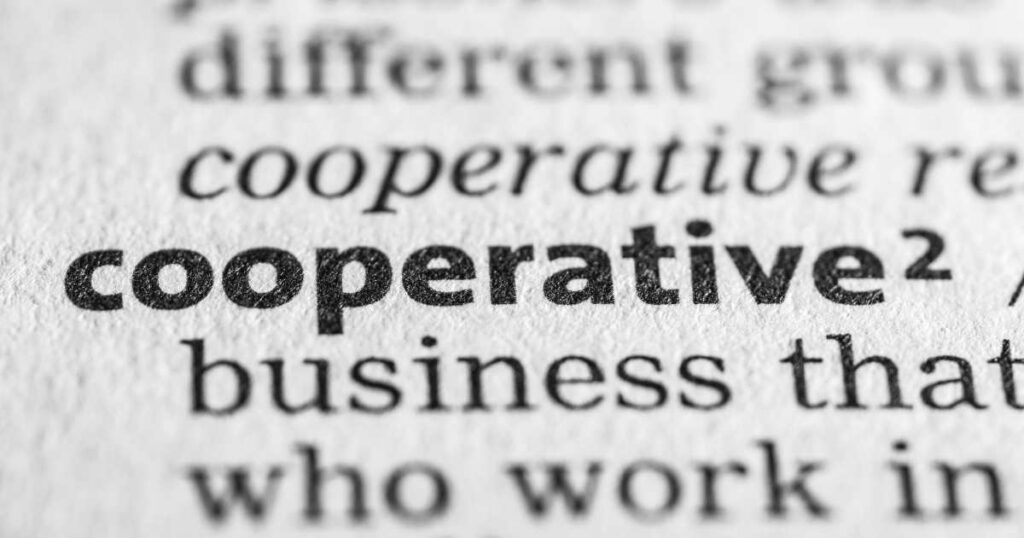 Agricultural Cooperatives in South Africa | SME South Africa