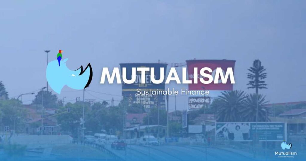 Mutualism Financial Solutions | SME South Africa