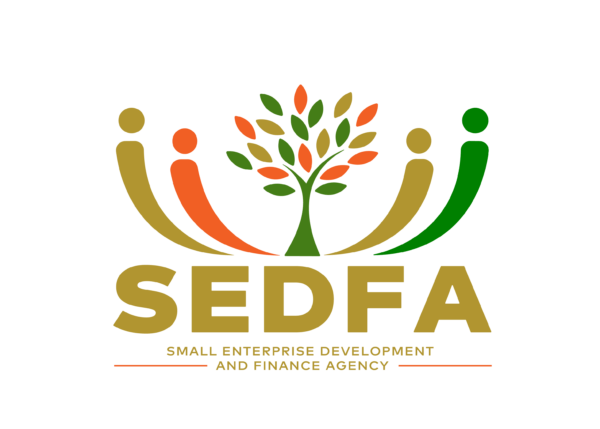 SEFA, SEDA and CBDA Merge: SEDFA Logo Revealed | SME South Africa
