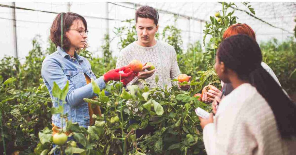 Where to Find Agricultural Training | SME South Africa