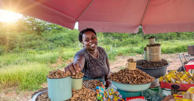 All You Need to Know About Informal Trading in South Africa | SME South ...